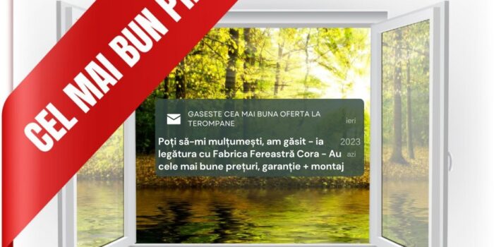 Termopane, Usi Exterioare PVC si Aluminiu cu Montaj- Pret de Fabricant ...